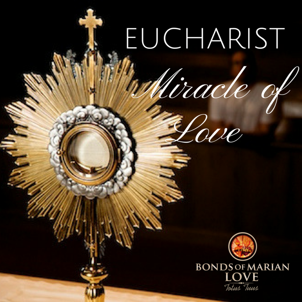 Our Spirituality Bonds Of Marian Love